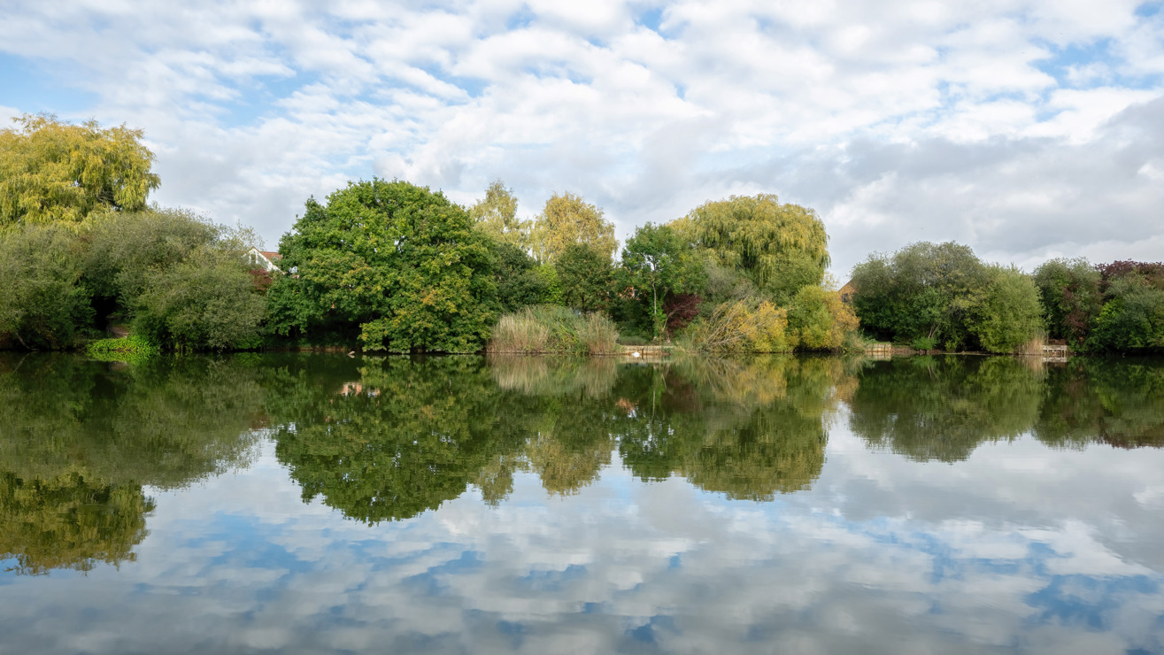 Parkland Meadows | New Build in Fareham | Shared Ownership