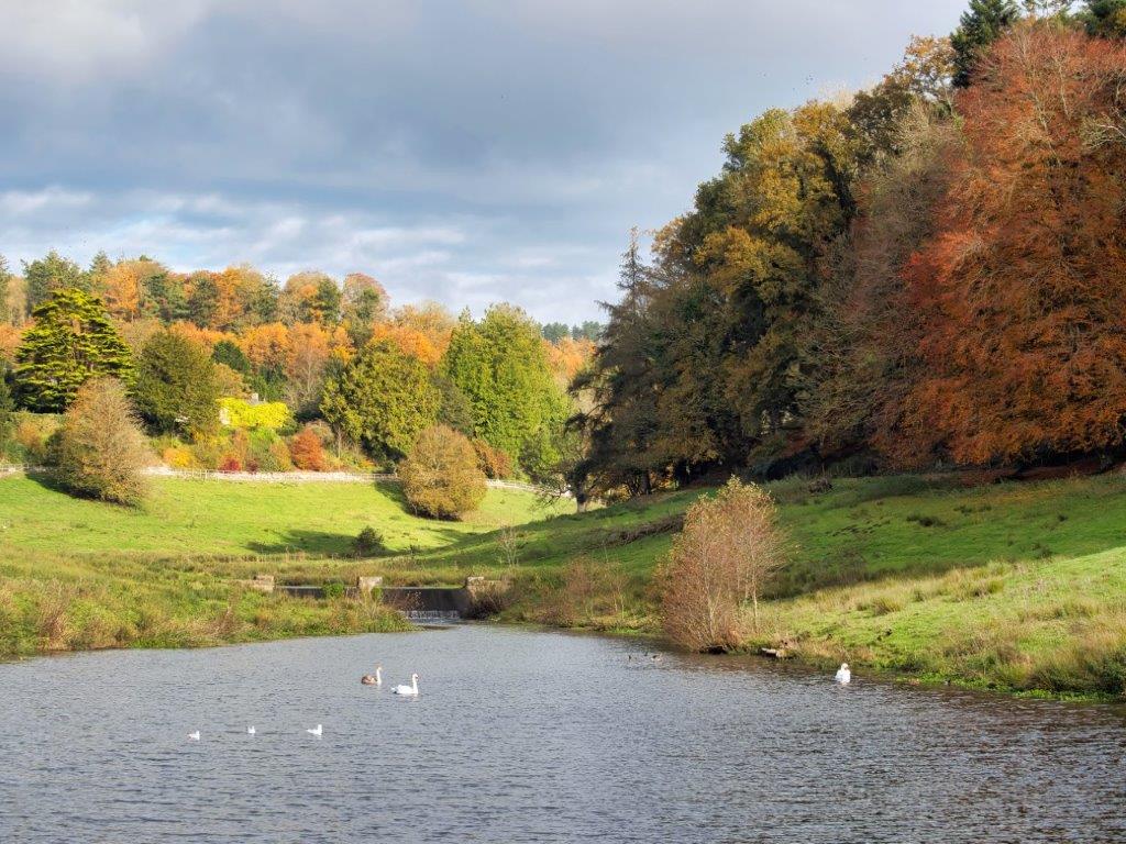 Snowdon Grange, Chard